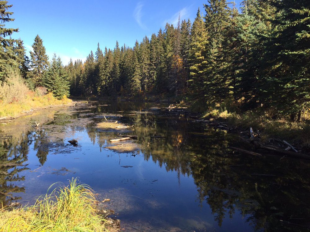 Top Places in Edmonton’s Suburbs Worth Visiting - edmonton.name