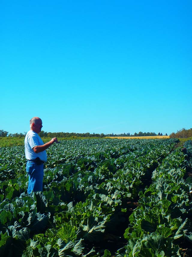 The Story of Lund’s Organic Farm: A Family Eco-Farm - edmonton.name