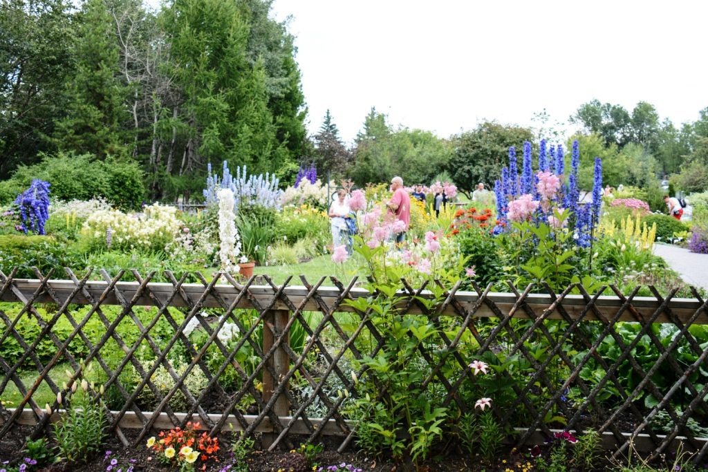 St. Albert Botanic Park: A Marvel of Plant Life - edmonton.name