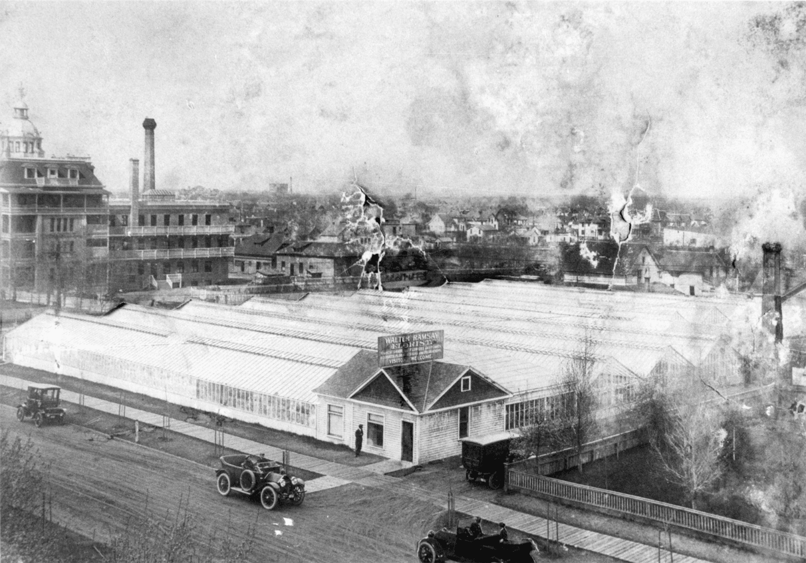 How is the Flower Business Developing in Edmonton? - edmonton.name