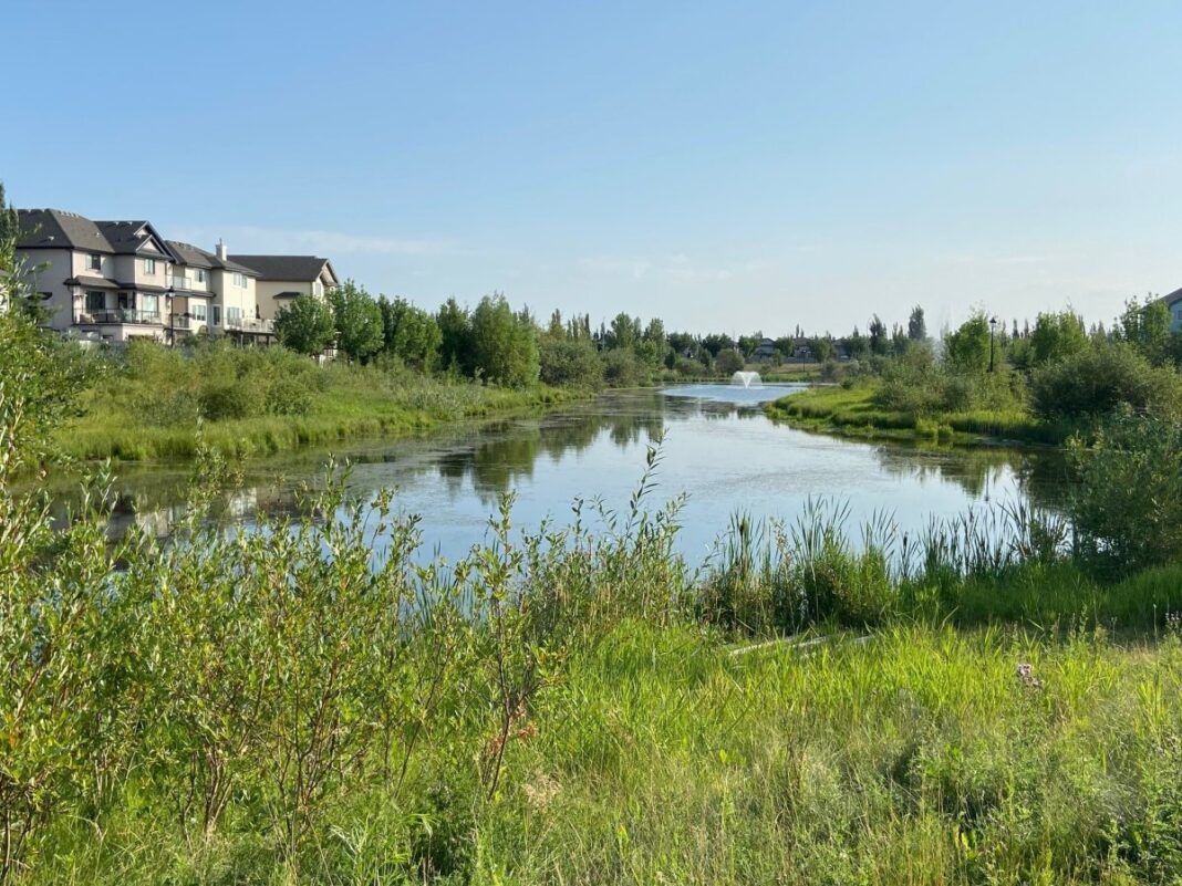Edmonton's Environmental Landscape - edmonton.name